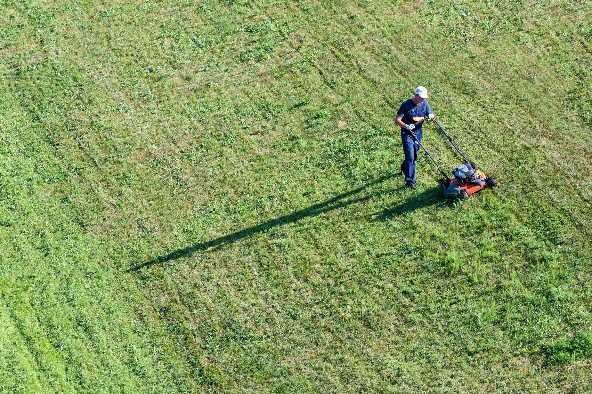 Resources for Employees | Landscape Nova Scotia
